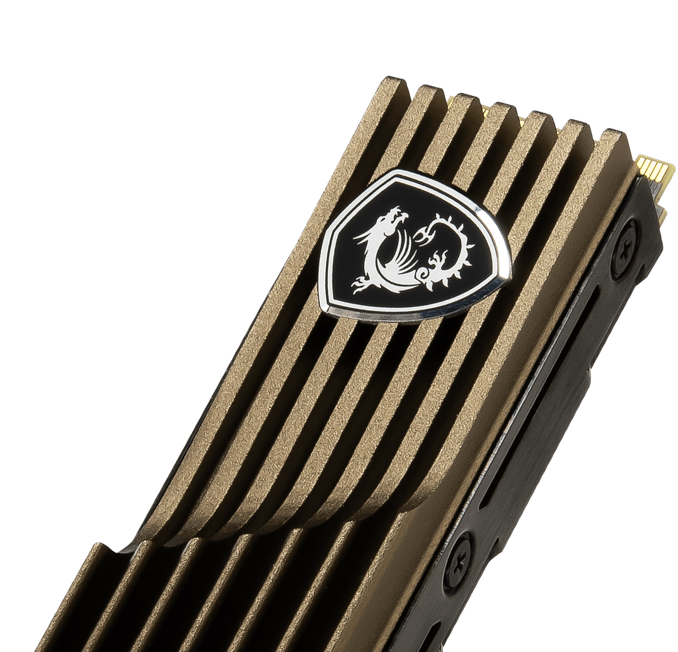 SPATIUM M570 PCIe 5.0 NVMe M.2 HS